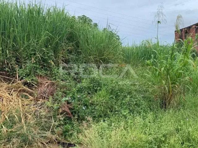 Terreno / Lote para Venda em São Carlos/SP Jardim das Torres