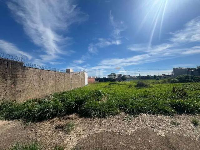 Terreno / Lote para Venda em São Carlos/SP Jardim Embaré
