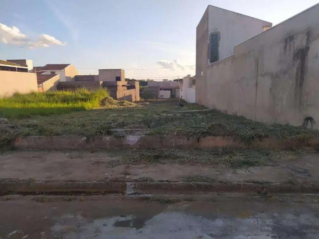 Terreno / Lote para Venda em São Carlos/SP Jardim Embaré