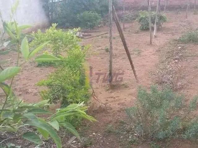 Terreno / Lote para Venda em São Carlos/SP Jardim Ipanema
