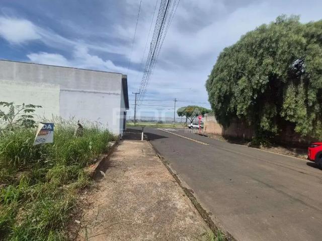Terreno / Lote para Venda em São Carlos/SP Jardim Ipanema