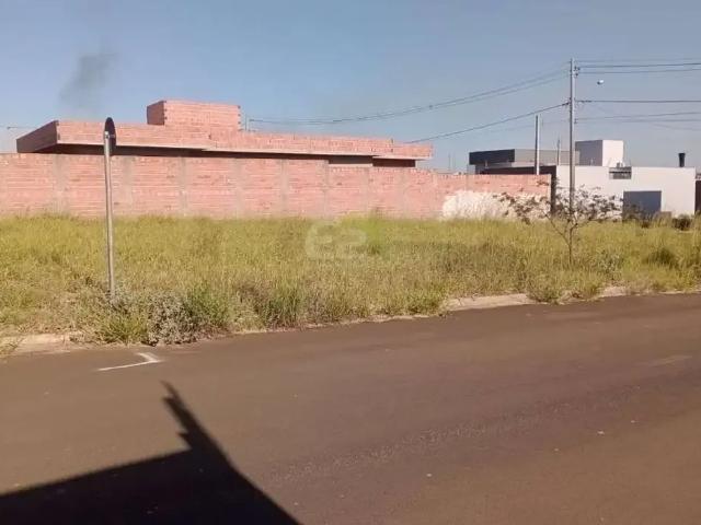 Terreno / Lote para Venda em São Carlos/SP Jardim Letícia