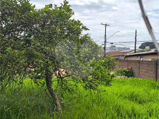 Terreno / Lote para Venda em São Carlos/SP Jardim Pacaembu