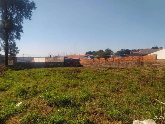 Terreno / Lote para Venda em São Carlos/SP Jardim São João Batista