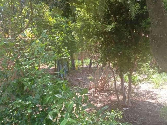 Terreno / Lote para Venda em São Carlos/SP Jardim São Rafael