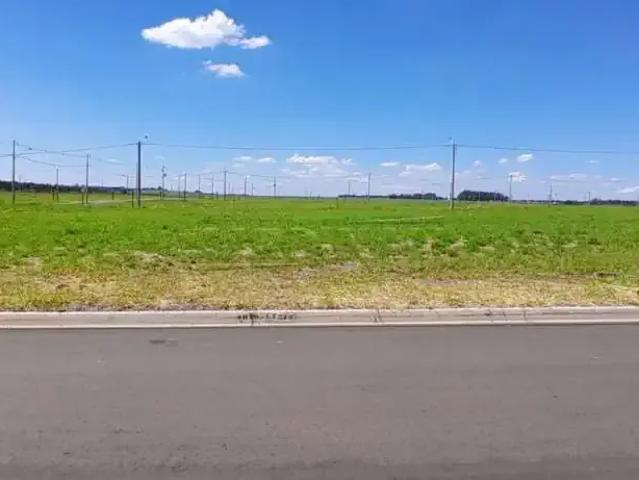 Terreno / Lote para Venda em São Carlos/SP Jardins do Porto