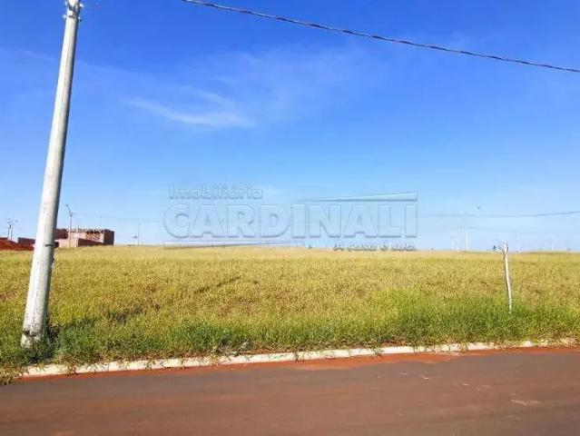 Terreno / Lote para Venda em São Carlos/SP Monjolinho