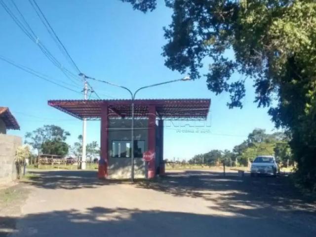 Terreno / Lote para Venda em São Carlos/SP Monjolinho