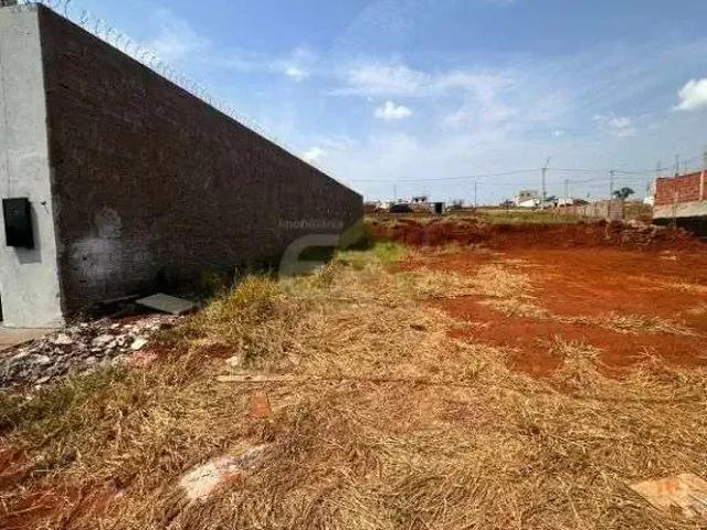 Terreno / Lote para Venda em São Carlos/SP Monjolinho