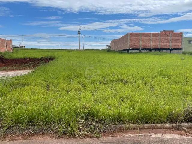 Terreno / Lote para Venda em São Carlos/SP Monjolinho
