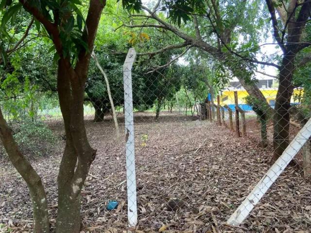Terreno / Lote para Venda em São Carlos/SP Santa Eudóxia