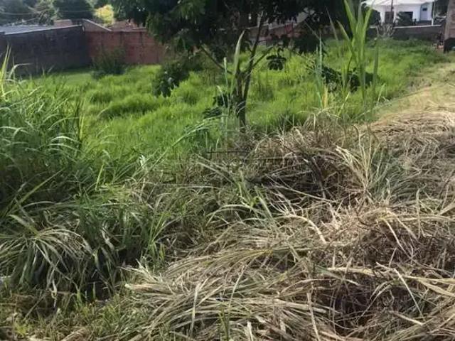 Terreno / Lote para Venda em São Carlos/SP Parque Santa Mônica