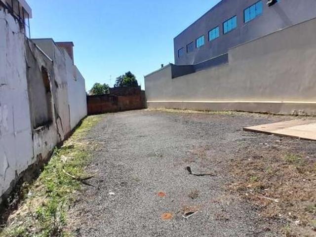 Terreno / Lote para Venda em São Carlos/SP Parque Santa Mônica