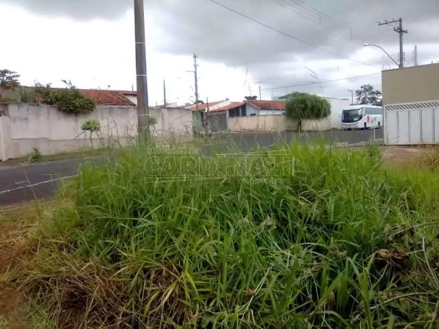 Terreno / Lote para Venda em São Carlos/SP Residencial Idalina Pozzi Margarido