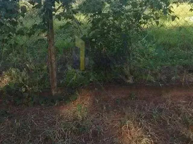 Terreno / Lote para Venda em São Carlos/SP Vale Santa Felicidade