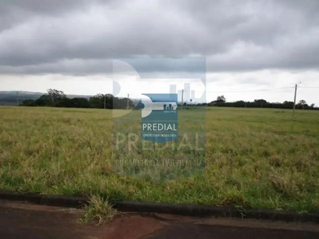 Terreno / Lote para Venda em São Carlos/SP Vila Vista Alegre