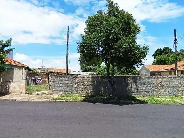 Terreno / Lote para Venda em São Carlos/SP Vila Boa Vista