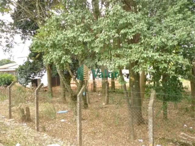 Terreno / Lote para Venda em São Carlos/SP Vila Lutfalla
