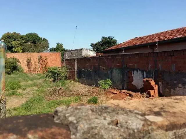 Terreno / Lote para Venda em São Carlos/SP Vila Marcelino