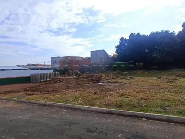 Terreno / Lote para Venda em São Carlos/SP Vila Max