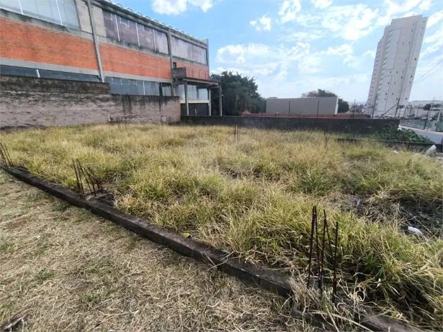 Terreno / Lote para Venda em São Carlos/SP Vila Max