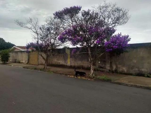 Terreno / Lote para Venda em São Carlos/SP Vila Morumbi