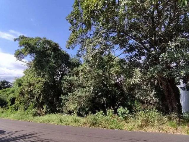 Terreno / Lote para Venda em São Carlos/SP Vila Rancho Velho