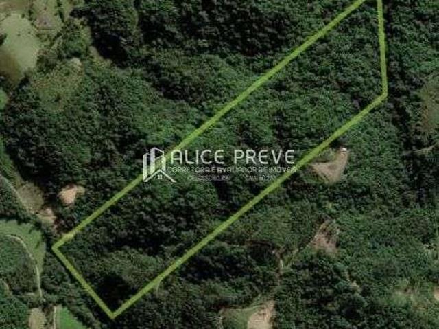 Terreno / Lote para Venda em São Bonifácio/SC Centro