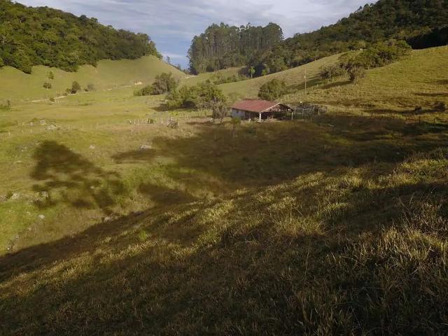 Terreno / Lote para Venda em São Bonifácio/SC Centro