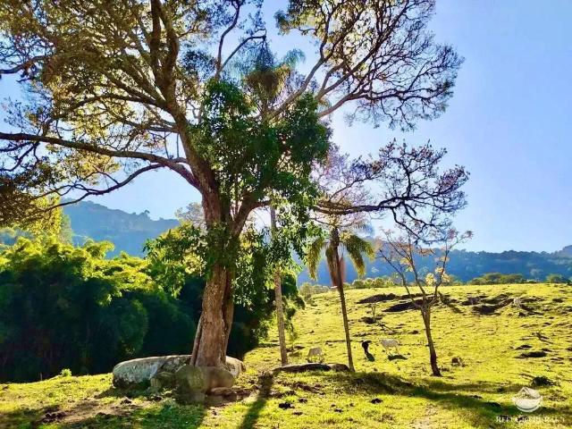 Terreno / Lote para Venda em São Bento do Sapucaí/SP Centro