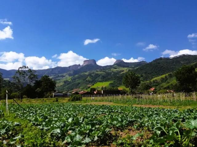 Terreno / Lote para Venda em São Bento do Sapucaí/SP Paiol Grande