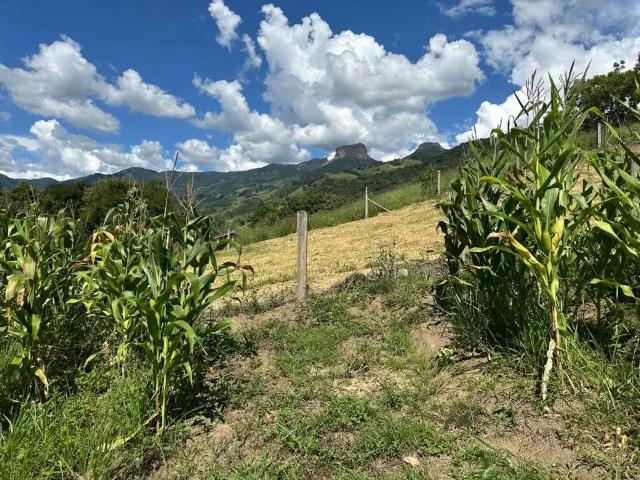Terreno / Lote para Venda em São Bento do Sapucaí/SP Paiol Grande