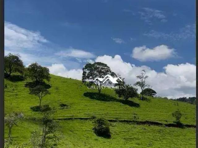 Terreno / Lote para Venda em São Bento do Sapucaí/SP Paiol Velho
