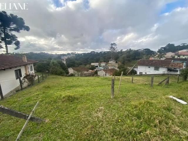 Terreno / Lote para Venda em São Bento do Sul/SC 25 de Julho