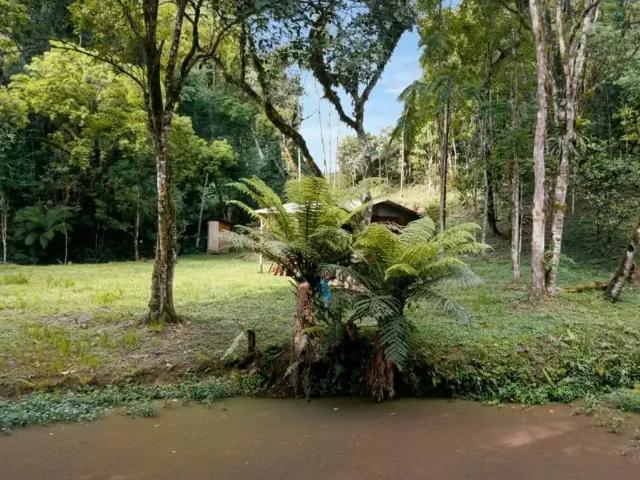 Terreno / Lote para Venda em São Bento do Sul/SC 25 de Julho