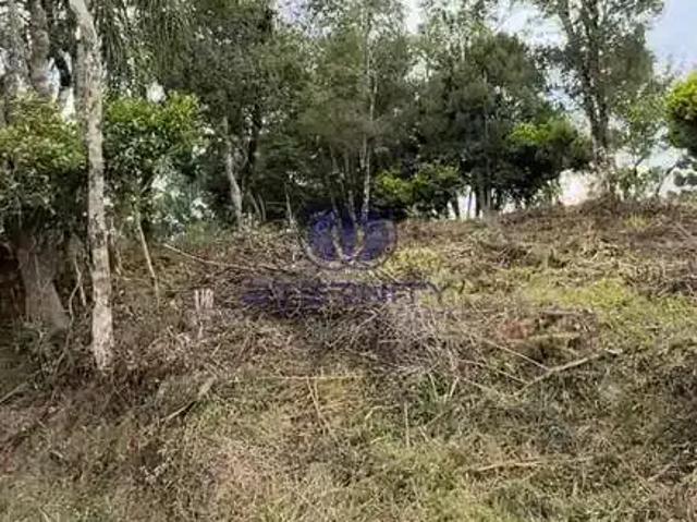 Terreno / Lote para Venda em São Bento do Sul/SC Colonial