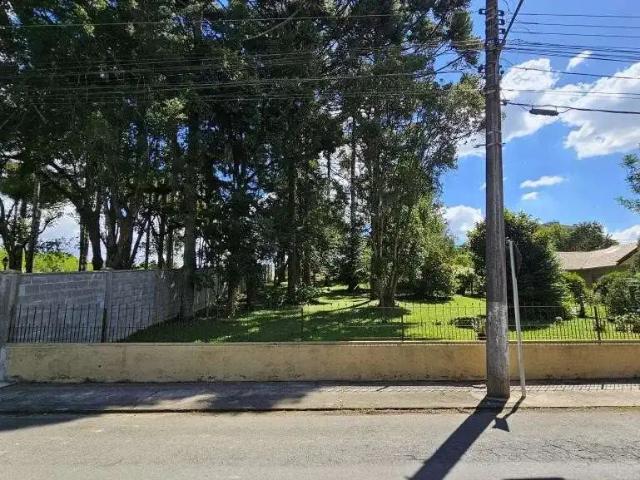 Terreno / Lote para Venda em São Bento do Sul/SC Colonial