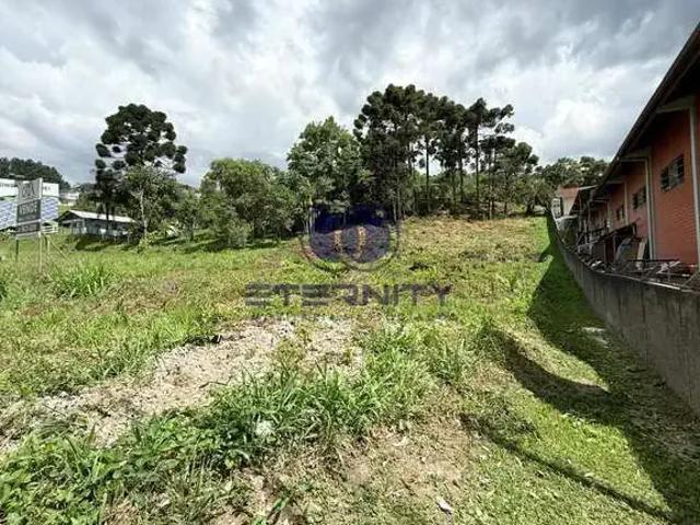 Terreno / Lote para Venda em São Bento do Sul/SC Colonial