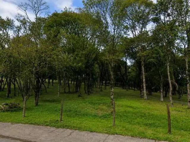 Terreno / Lote para Venda em São Bento do Sul/SC Centenário