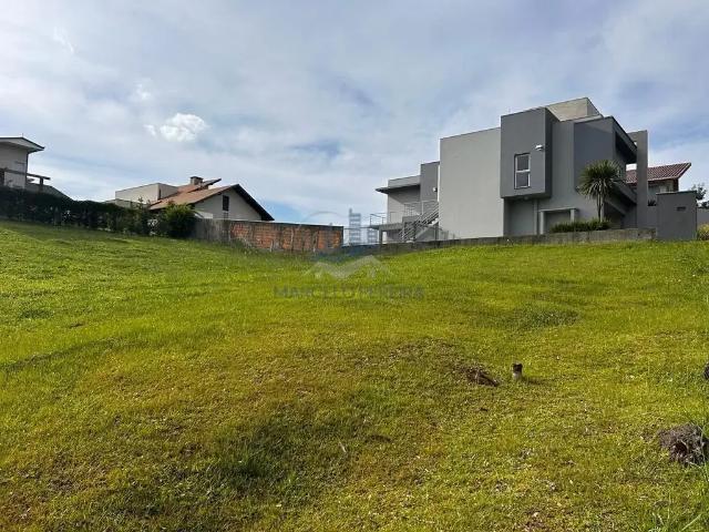 Terreno / Lote para Venda em São Bento do Sul/SC Centenário