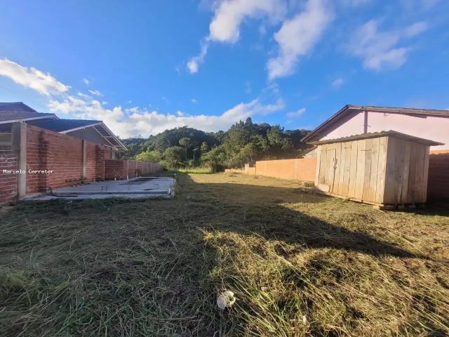 Terreno / Lote para Venda em São Bento do Sul/SC Centenário