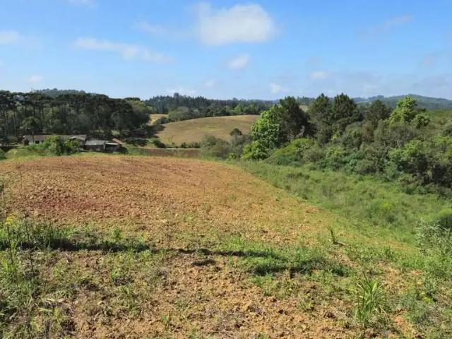 Terreno / Lote para Venda em São Bento do Sul/SC Cruzeiro