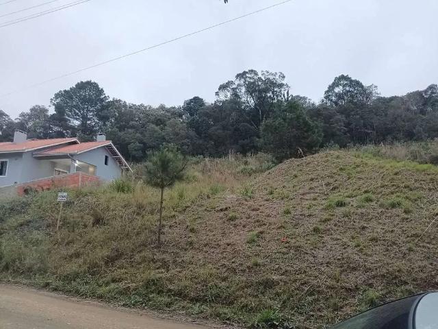 Terreno / Lote para Venda em São Bento do Sul/SC Alpino
