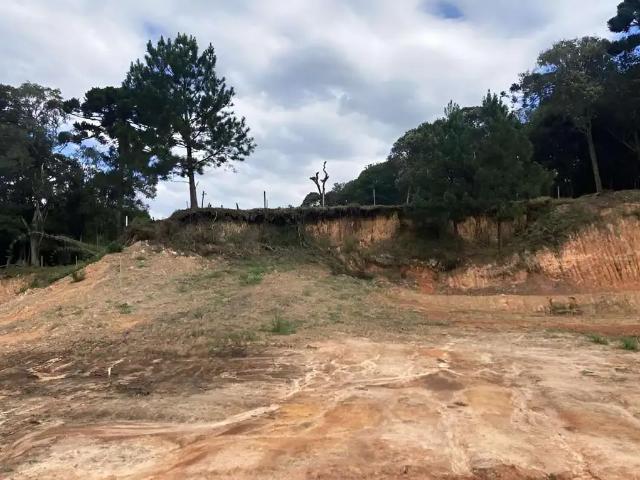 Terreno / Lote para Venda em São Bento do Sul/SC Alpino