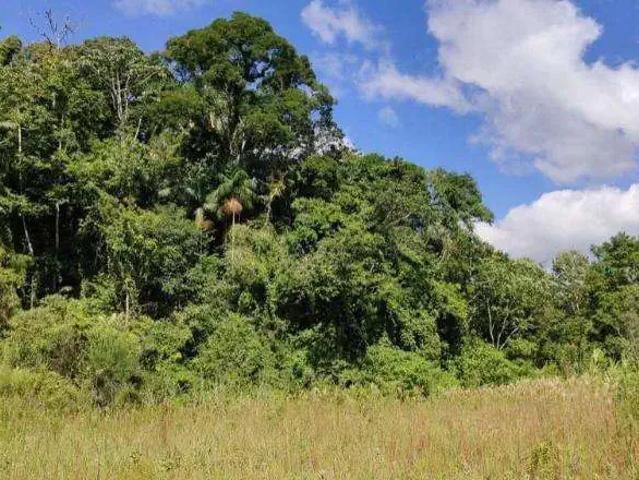 Terreno / Lote para Venda em São Bento do Sul/SC Área Rural de São Bento do Sul