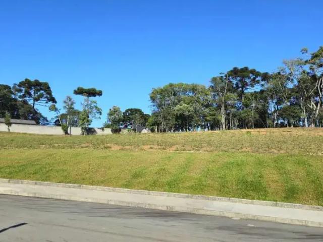 Terreno / Lote para Venda em São Bento do Sul/SC Brasilia