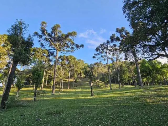 Terreno / Lote para Venda em São Bento do Sul/SC Brasilia