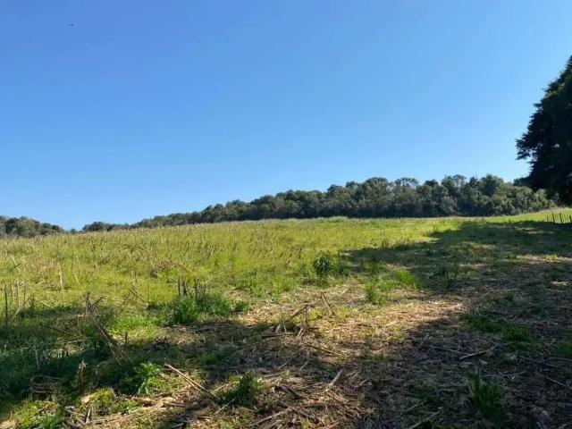 Terreno / Lote para Venda em São Bento do Sul/SC Dona Francisca