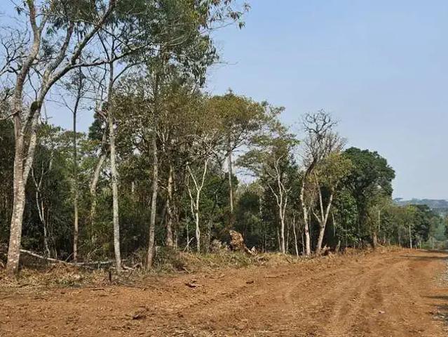 Terreno / Lote para Venda em São Bento do Sul/SC Lençol