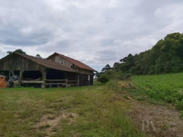 Terreno / Lote para Venda em São Bento do Sul/SC Lençol